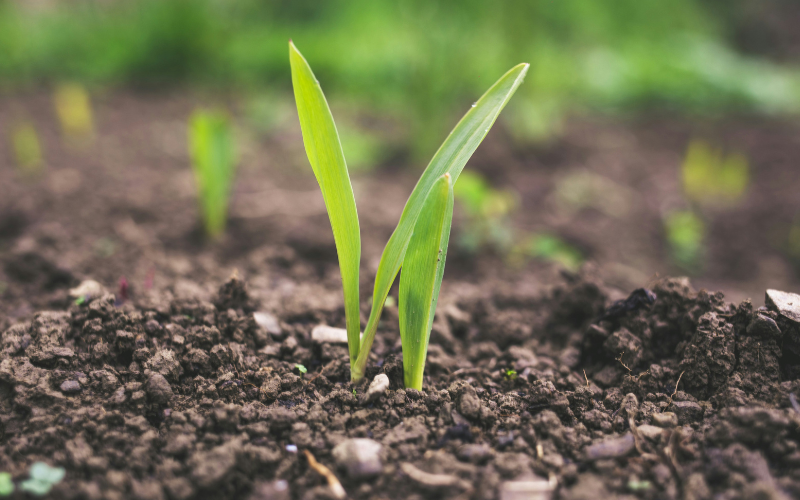 eDNA Biodiversity Monitoring Solutions | EnviroDNA