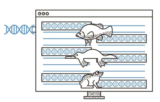 Searching for Tasmanian tiger (…DNA, that is!)