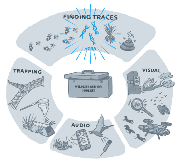 Environmental DNA Sampling for Terrestrial Species