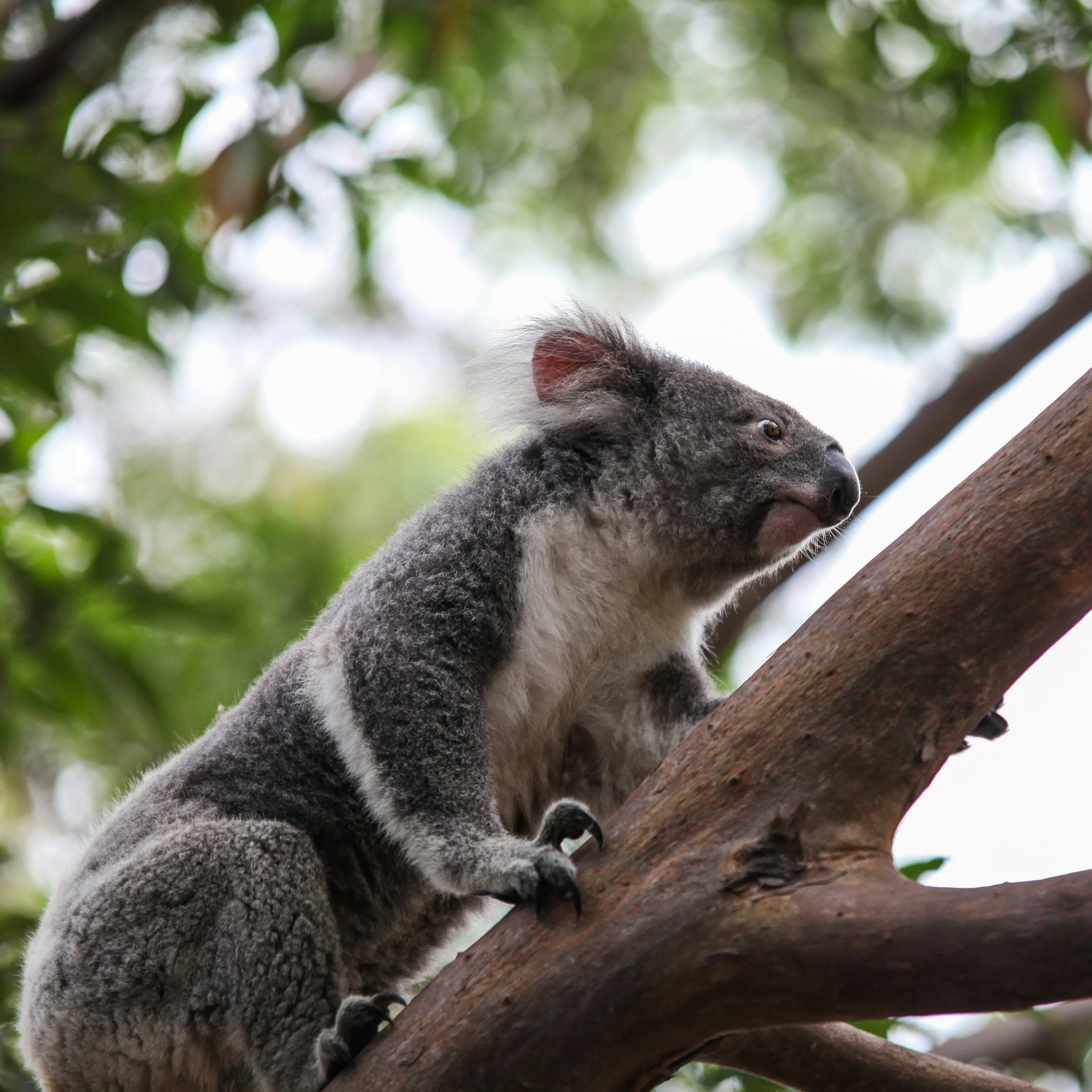 eDNA Biodiversity Monitoring Solutions | EnviroDNA